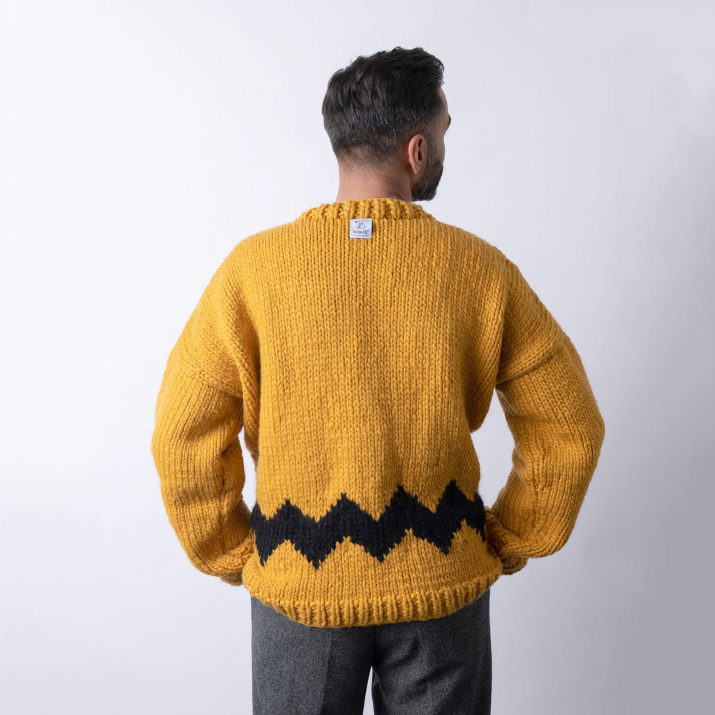 Charlie Brown Men's Sweater Knitting Kit | Stitch & Story